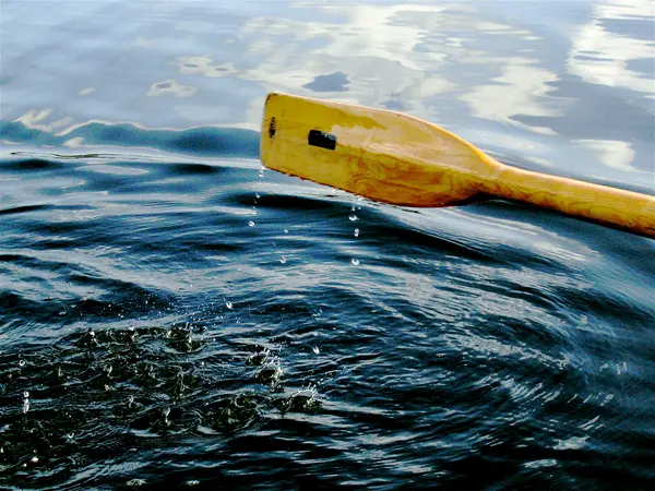 What did one oar say to another on Valentine's Day? - Funny Snails