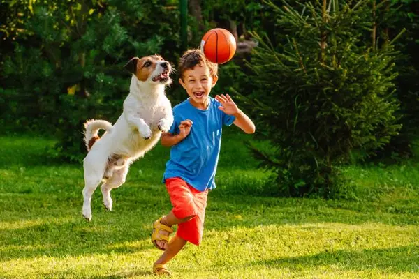 What animal could Noah not trust? - Funny Snails