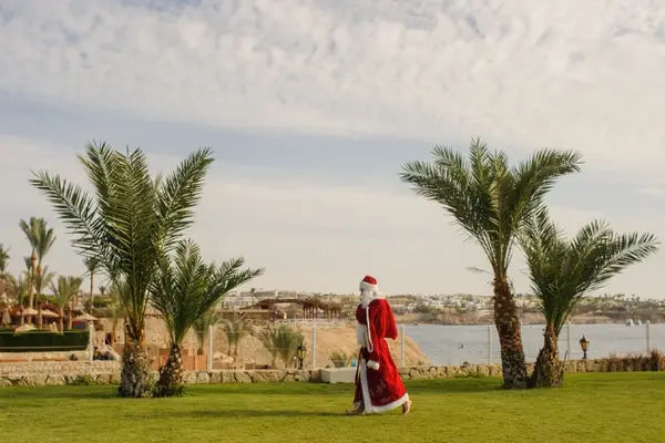 Why does Santa love to work in the garden? - Funny Snails